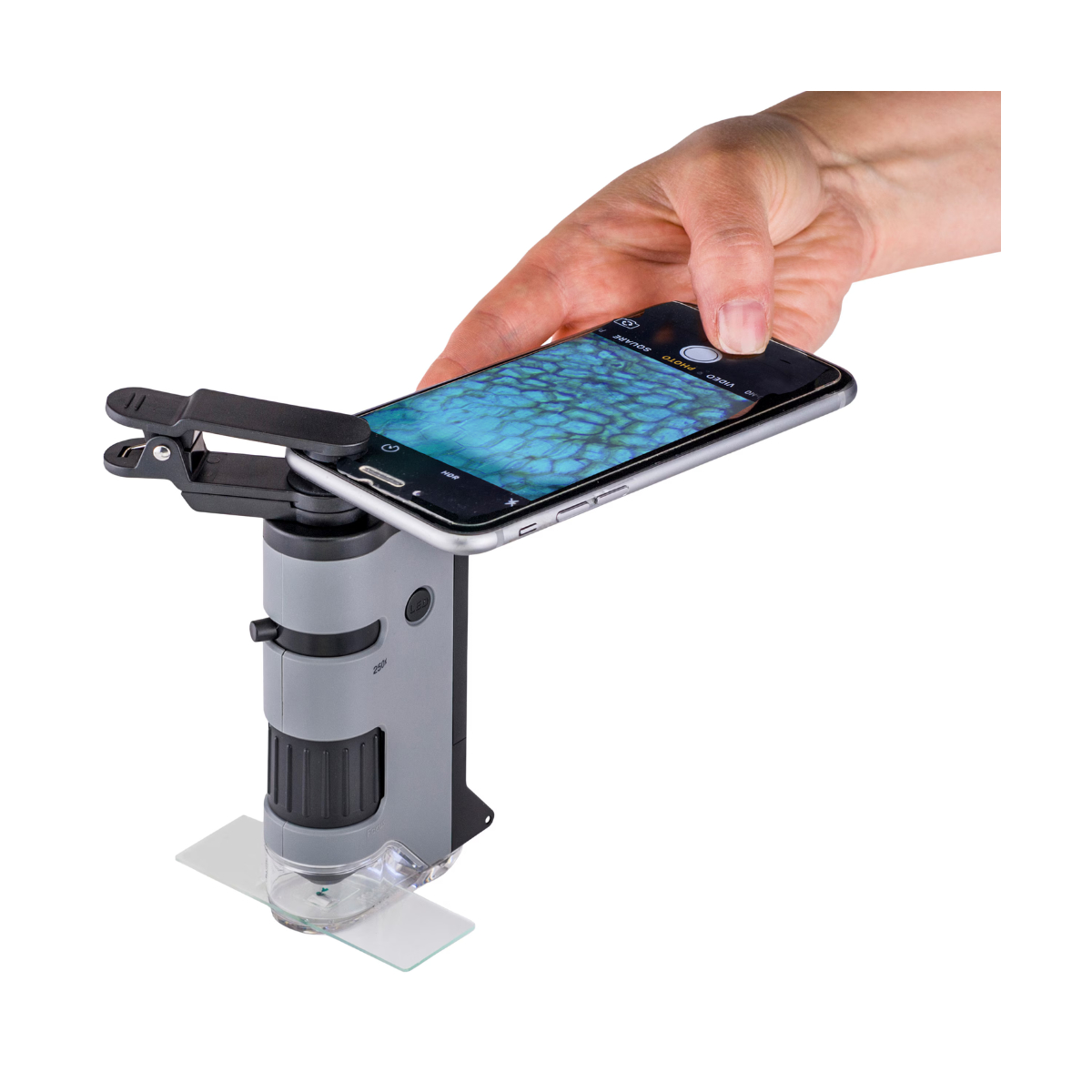 Microscope de poche LED MicroFlip 100x-250x avec adaptateur pour smartphone